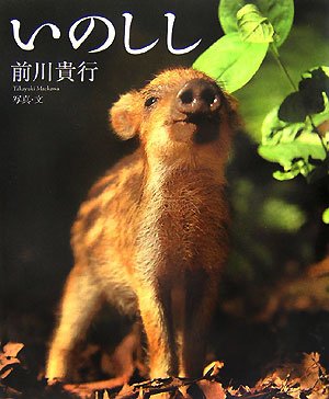 Amazon.com: Inoshishi: 9784752003731: Takayuki Maekawa: Books