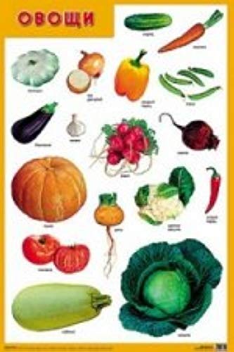 Amazon.com: Ovoschi. Plakat: 9785431501661: Unknown .: Books