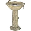 Amazon.com: Smart Solar 20633R01 Acadia Solar Birdbath, Medium, Olive ...