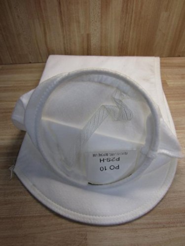 Filpro PO 10 P2S-H Filter Bag PO10P2SH (Pack of 12): Amazon.com ...