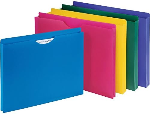 Amazon.com : 1InTheOffice Poly File Jacket File Folder, Letter 1 ...