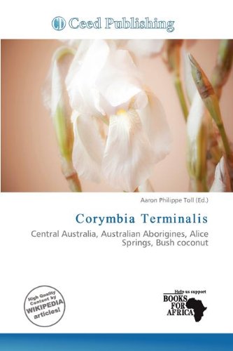 Corymbia Terminalis | Amazon.com.br