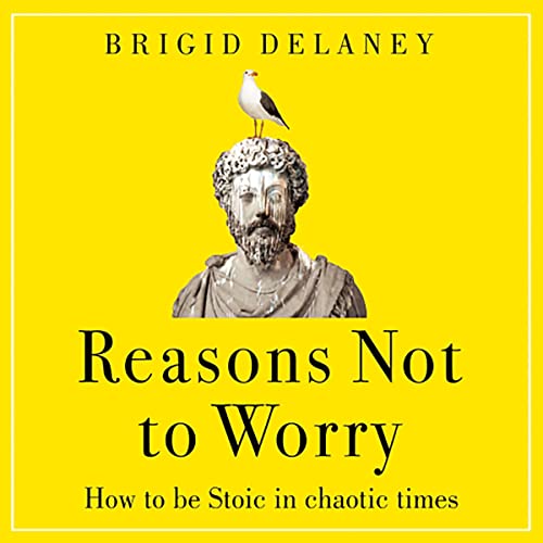 Amazon.com: Reasons Not to Worry: How to Be Stoic in Chaotic Times ...