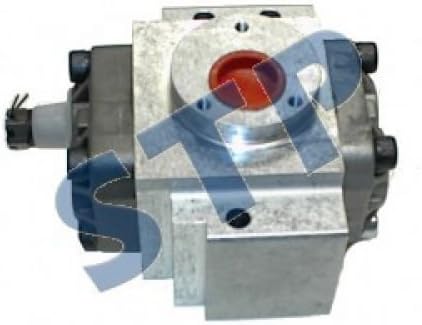 Amazon.com: Hydraulic Pump, Dual Stage 3038730m2, Sonic : Automotive
