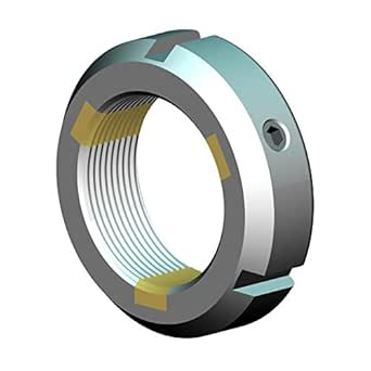 Amazon.com: Whittet-Higgins NSHM-06 Shoelok Bearing & Shaft Locknut, Metric M30 x 1.5 Right-Hand ...