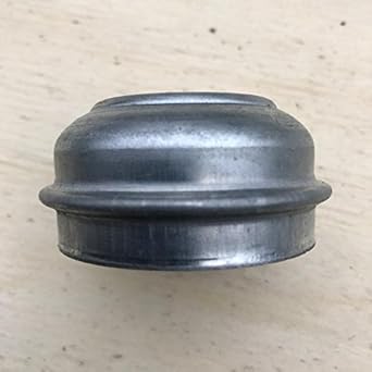 Amazon.com: 52mm Dust Cap for Implement Tire and Wheel, fits Most Hay ...