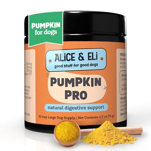 Best Slippery Elm for Dogs Benefits and Top Picks – Big Orange Goodness