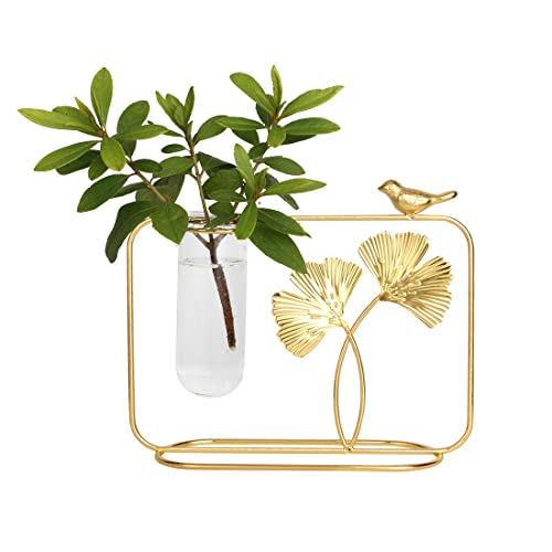 10 Best Bird Terrariums That Will Take Your Pet's Lifestyle to the Next ...