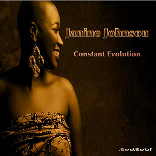 Constant Evolution : Janine Johnson: Amazon.de: Digital Music