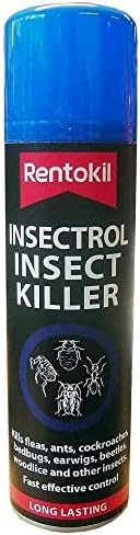 Rentokil RKLPS136 Insectrol Insect Killer 250ml Aerosol : Amazon.co.uk ...