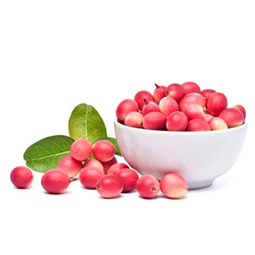 Fresh Karonda, 250 g : Amazon.in: Grocery & Gourmet Foods