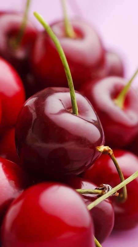 Ritz Farming® Cherry fruit seeds | maroon cherry fruit seeds For Your ...