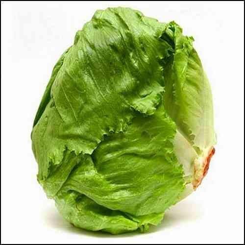 lechuga iceberg mercadona - Buscar Precios