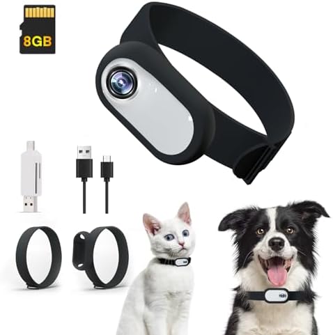 Amazon.com: Pet Baby Cat Camera Collar with 8GB SD Card, HD 1080P Dog ...