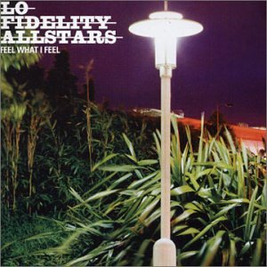 Feel What I Feel: Lo Fidelity Allstars: Amazon.in: Music}