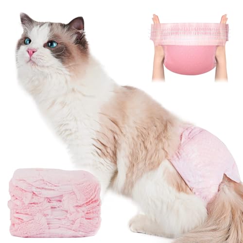 Diapers for Cats – The 15 best products compared - Wild Explained