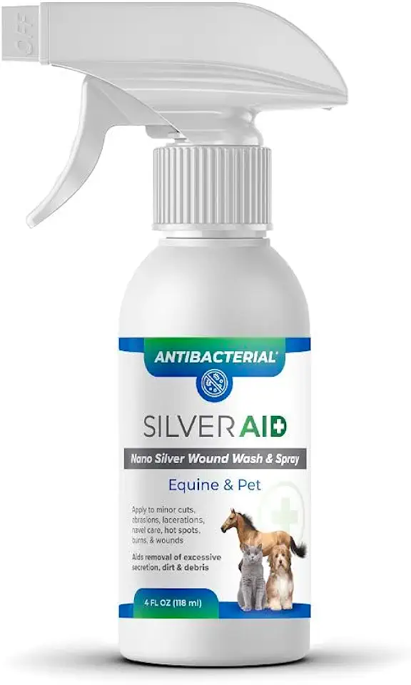 The Complete Guide: Using Colloidal Silver For Cats | PetShun