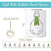 Amazon.com: GreenPine Light Bulb Bulletin Board Borders Scalloped ...