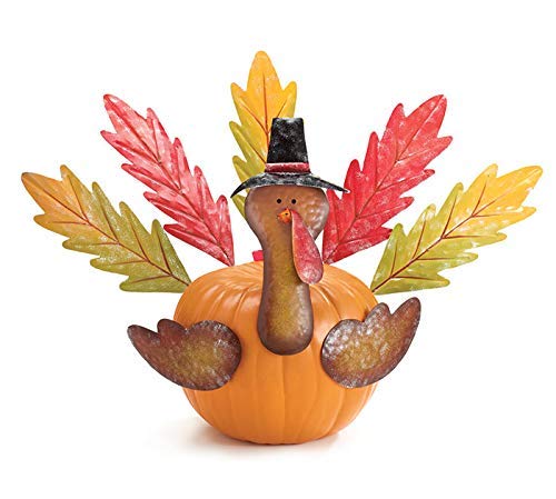 Amazon.com: Thanksgiving Pumpkin Turkey Making Kit