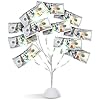 Amazon.com: MEIN SCHATZ Money Tree Gift Card Holder with 10 Clips & LED ...