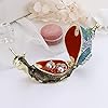 Amazon.com: DLXK Hand Painted Animal Trinket Box for Home Decor, Hinged ...