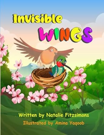Invisible Wings: Amazon.co.uk: Fitzsimons, Natalie: 9798861237796: Books