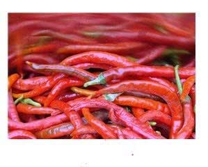 Down To Earth Red Chilli Whole Mathania, 50g : Amazon.in: Grocery ...