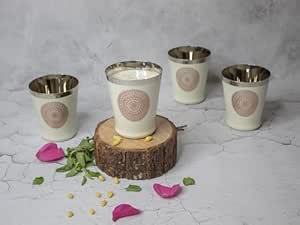 Buy JISCOVERY Stainless Steel Printed Glasses Set of 4 for Water, Milk ...