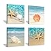 Amazon.com: Hardy Gallery Beach Seashell Starfish Wall Art: Blue Ocean ...