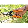 FALCON Garden Tools Pruning Secateur Major (Size 225mm, for ...