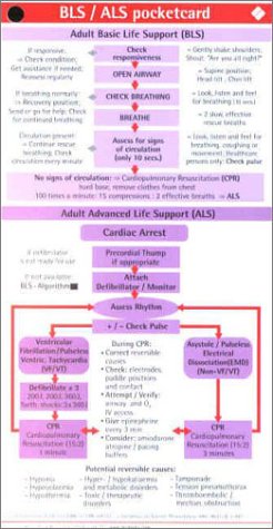 Buy Bls/Als Pocketcard Package of 10 Cards With Display Book Online at ...