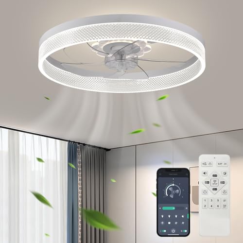 The 10 Best Low Profile Ceiling Fan With Led Light
