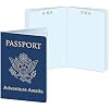 Amazon.com: Beistle 12 Piece Fake Passports For Around The World Travel ...
