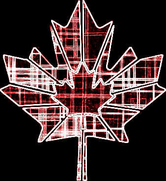 Amazon.com: Leslie Carson: books, biography, latest update