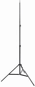 Amazon.com : ProMaster LS1(N) Basic Light Stand, (Model 9245 ...