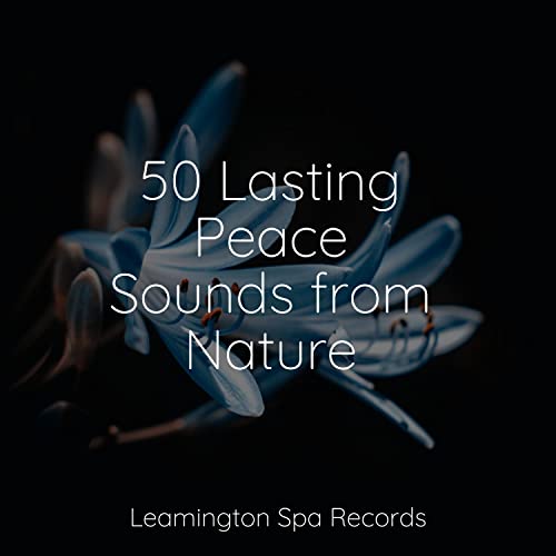 50 Lasting Peace Sounds from Nature de The Rain Library, Natureza ...