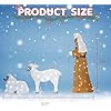 Amazon.com: DROFELY Outdoor Lighted-up Shepherd & Sheep Nativity ...
