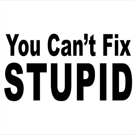 Amazon.com: Creative Concept Ideas You Can't Fix Stupid Funny CCI Decal ...