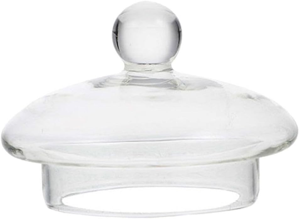 Amazon.com | Kichvoe Glass Teapot Lid Replacement, Clear Teapot ...