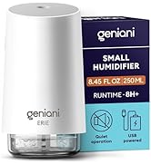 Amazon.com: GENIANI Portable Small Cool Mist Humidifiers - USB Desktop ...