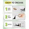 Amazon.com : Motel Mouse Humane Mouse Traps No Kill Live Catch and ...