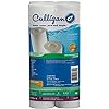 Amazon.com: Culligan P5-4PK P5 Whole House Premium Water Filter, 8,000 ...