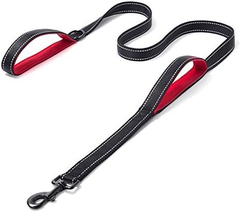 Maxpower Planet - Heavy Duty Dog Leash - 6ft Long with Double Traffic ...
