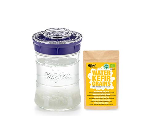 Buy Kefirko Complete Water KEFIR Starter Kit 848ml Jar with Grains ...