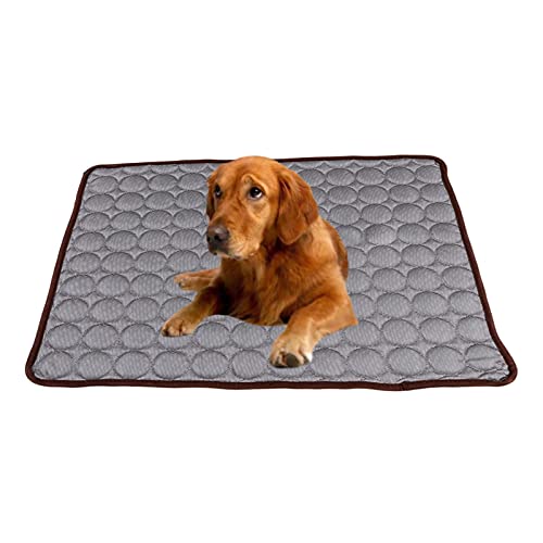 Kuhlmatte Hund Fressnapf