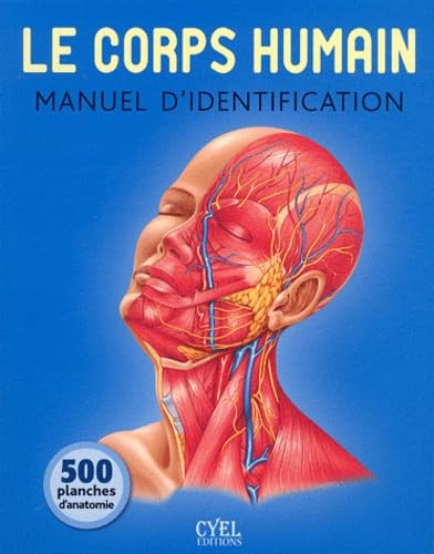 Amazon.com: CORPS HUMAIN (LE): 9782362610424: Ken Ashwell: Books