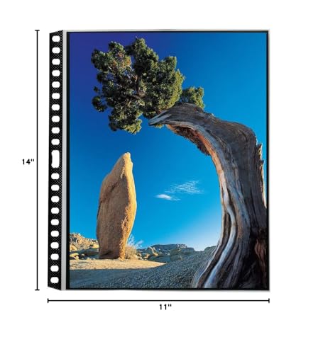 Snapklik.com : ProFolio By Itoya, Art ProFolio PolyGlass, 10-Pack Multi ...