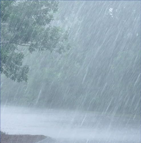 Amazon Music - Fans, Dryers, Dishwashers, Vacuums, Rain Storms, Ocean ...