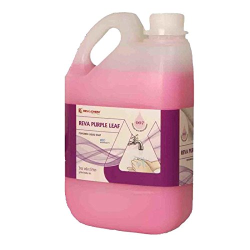 Reva Purple Leaf Hand Wash - 5ltr : Amazon.in: Beauty