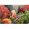 Amazon.com : Orbit 61014 Automatic Garden Box Irrigation System ...